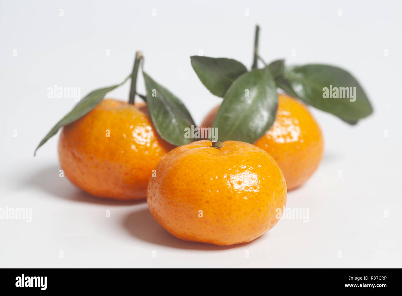Ripe mandarins with green leaves on white background Stock Photo - Alamy