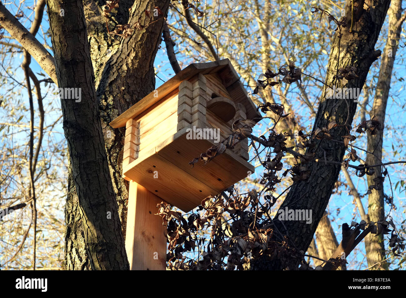 Big new wooden birdhouse hanging on a tree trunk on sunny day in autumn ...