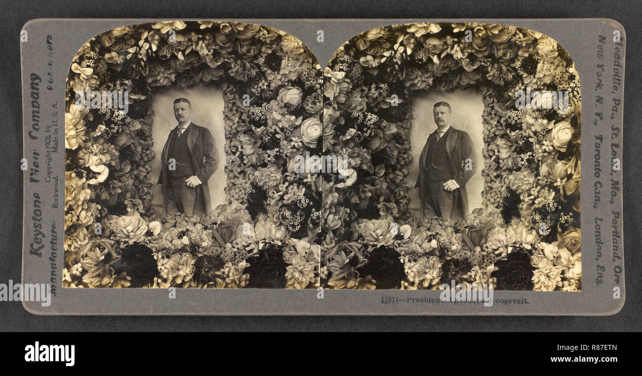 President Theodore Roosevelt, Portrait, Stereo Card, Keystone View ...