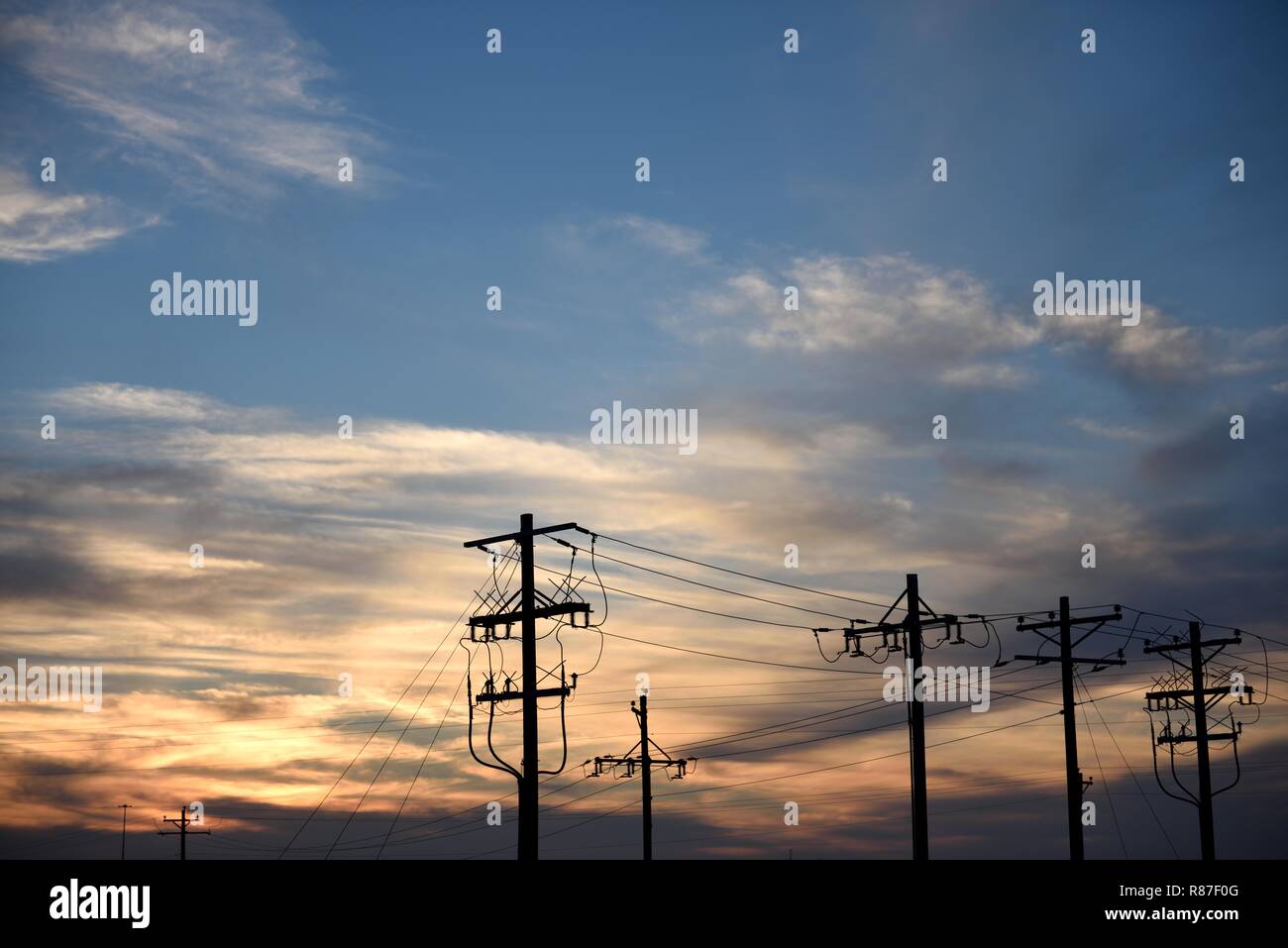 Telephone Poles And Wires Sunset
