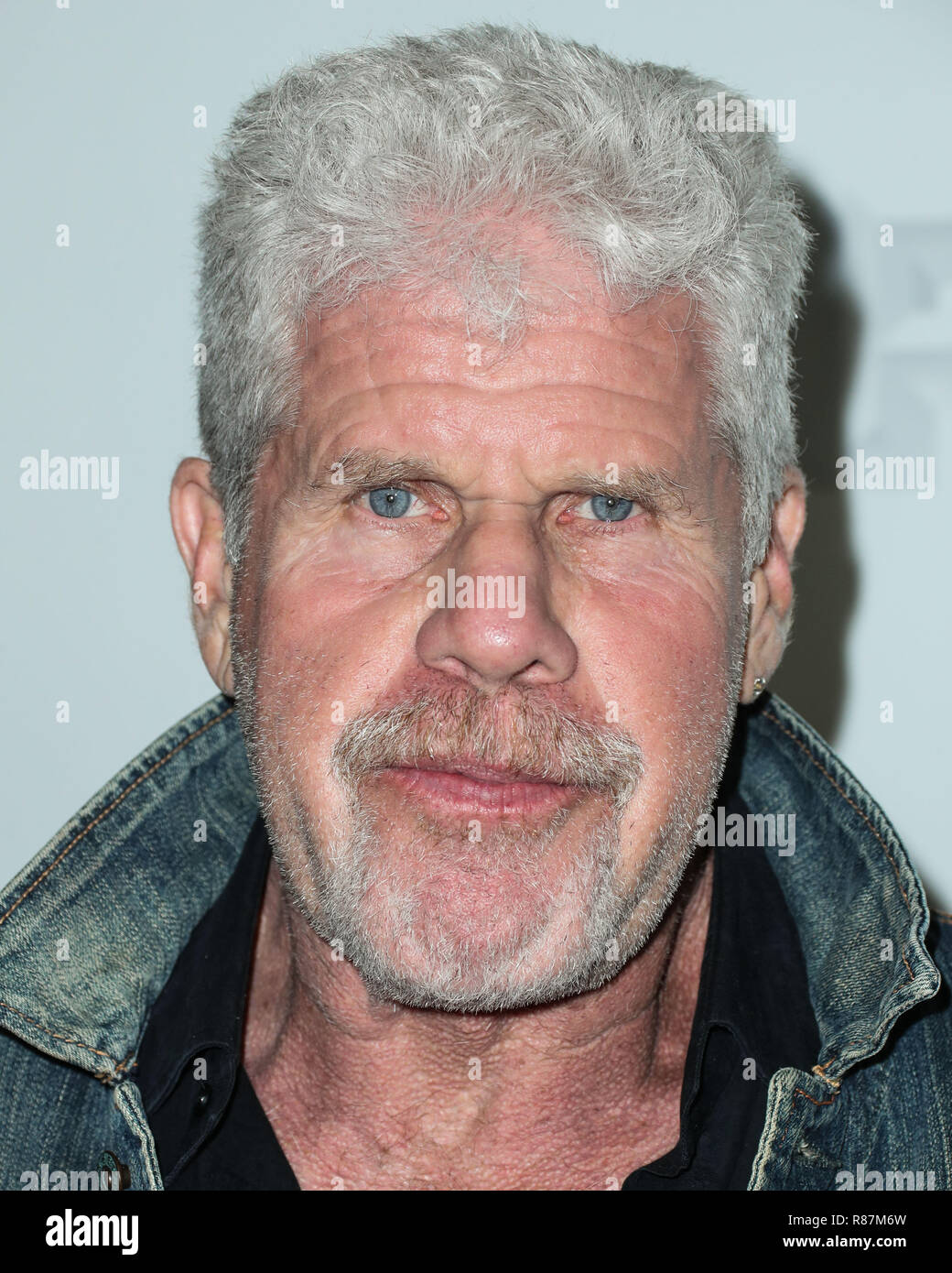 LOS ANGELES, CA, USA - NOVEMBER 07: Ron Perlman at the Los Angeles ...