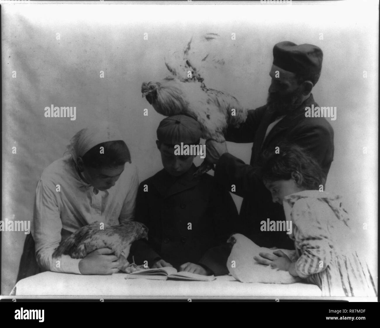 Kapparot hi-res stock photography and images - Alamy