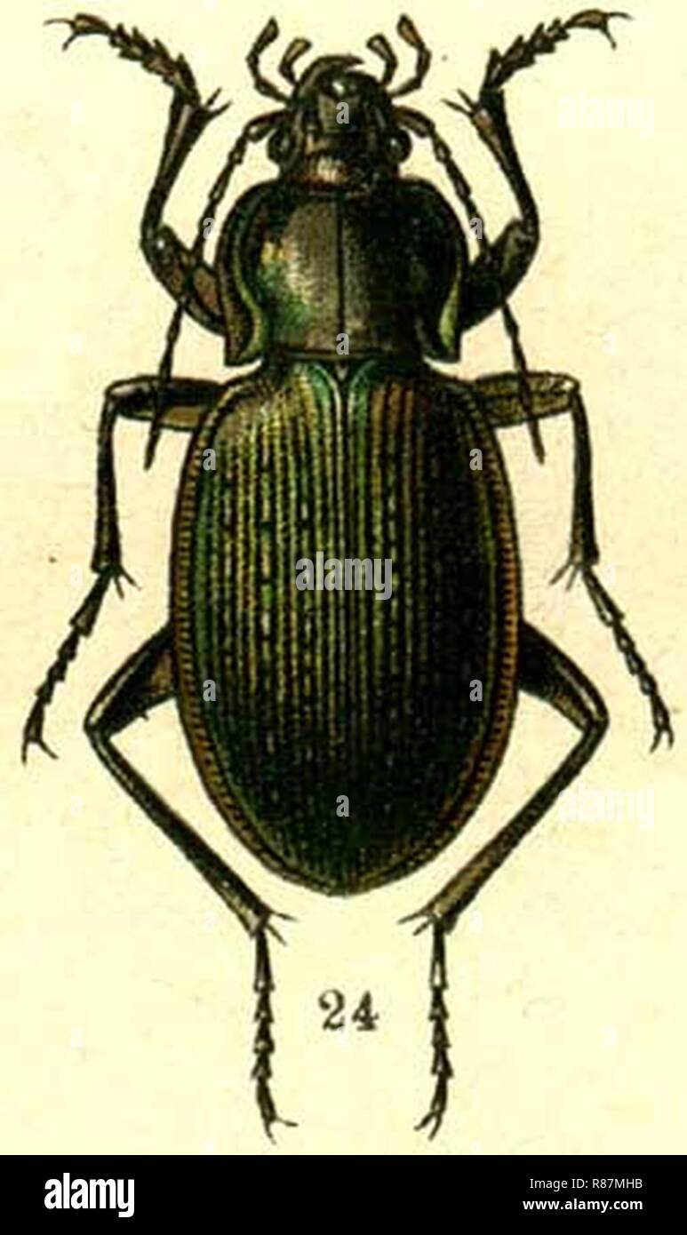 Gebleri hi-res stock photography and images - Alamy