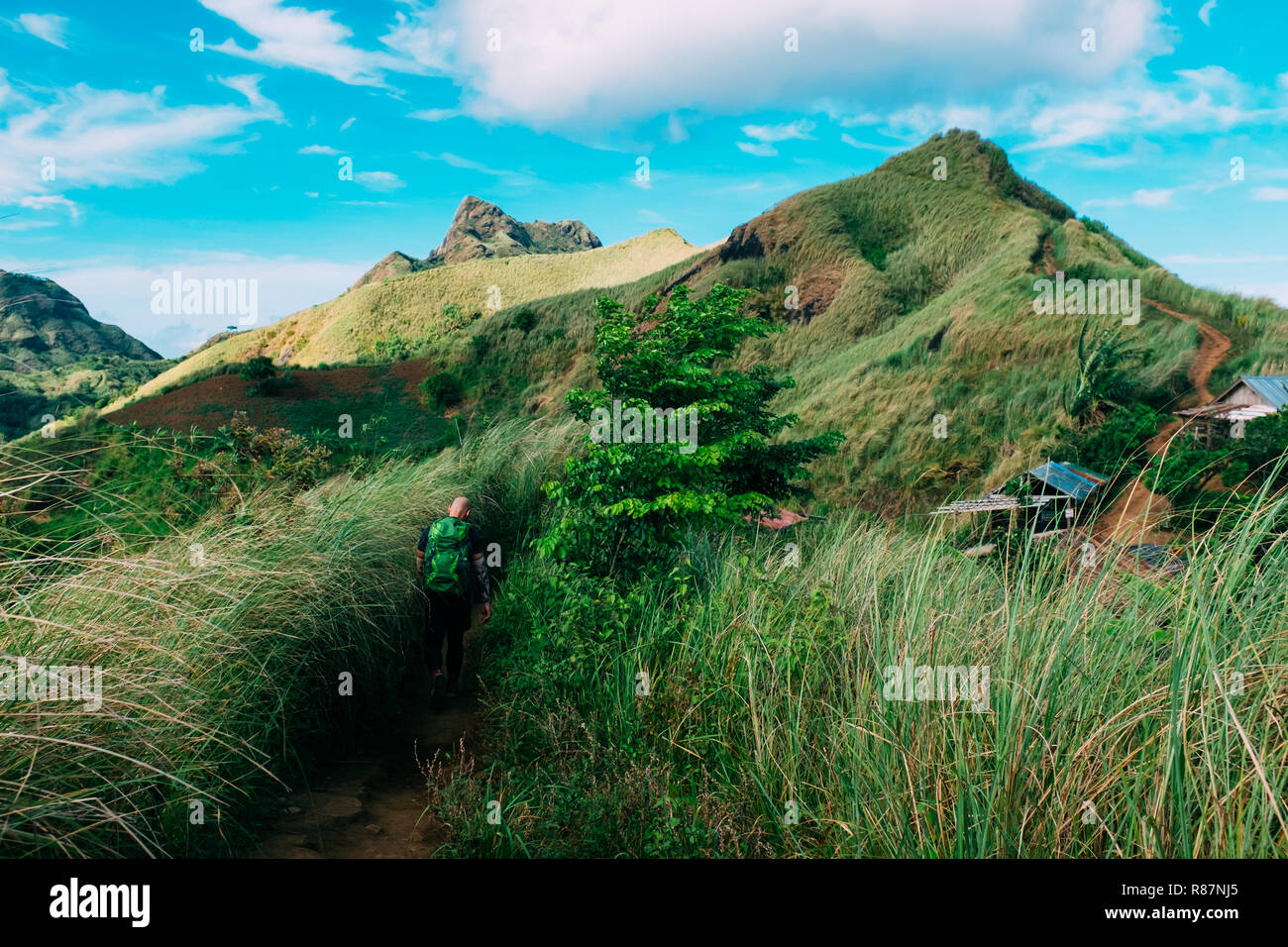 A hiking trail of Mount Batulao in the province of Batangas ...