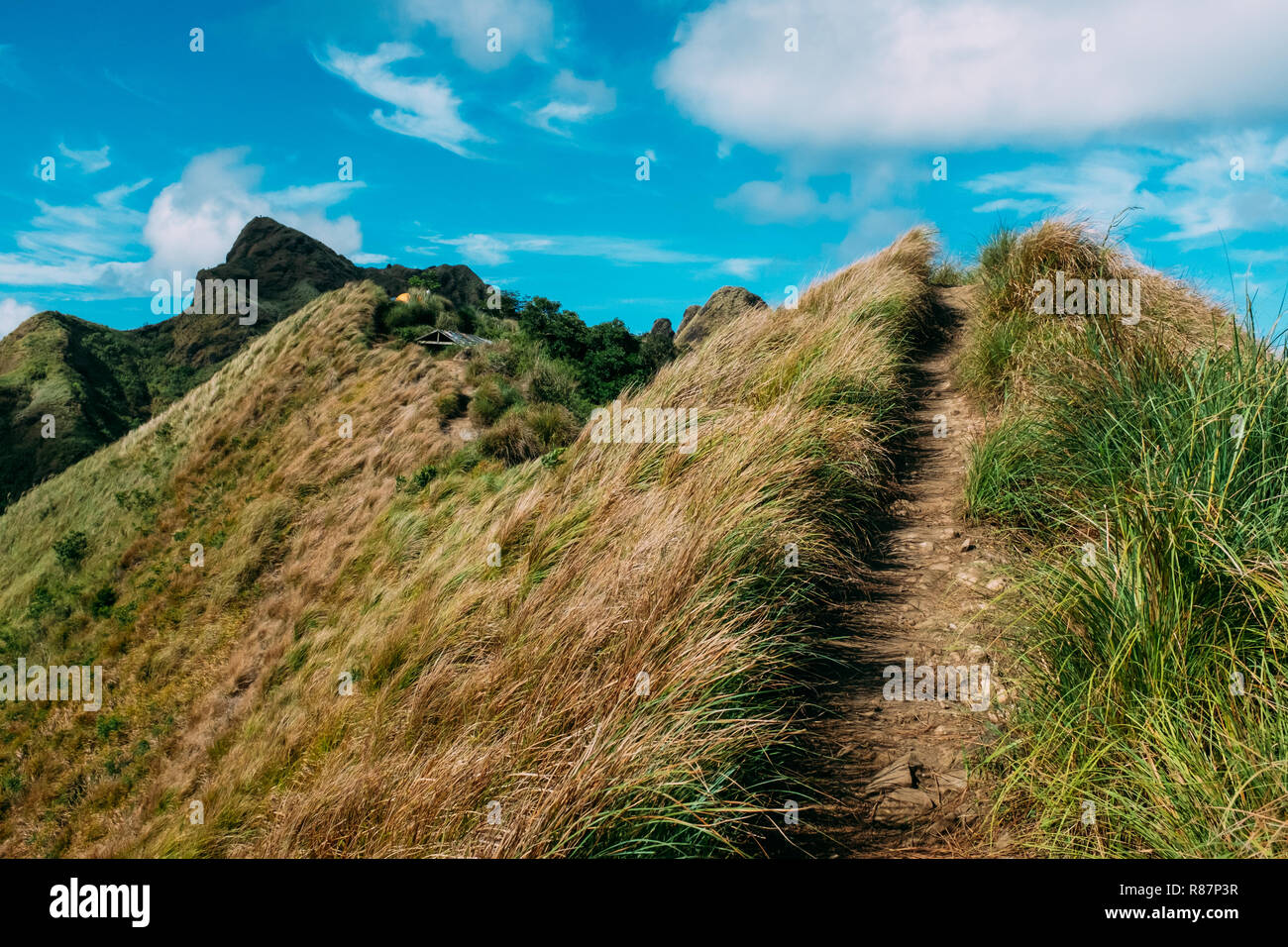 A hiking trail of Mount Batulao in the province of Batangas ...