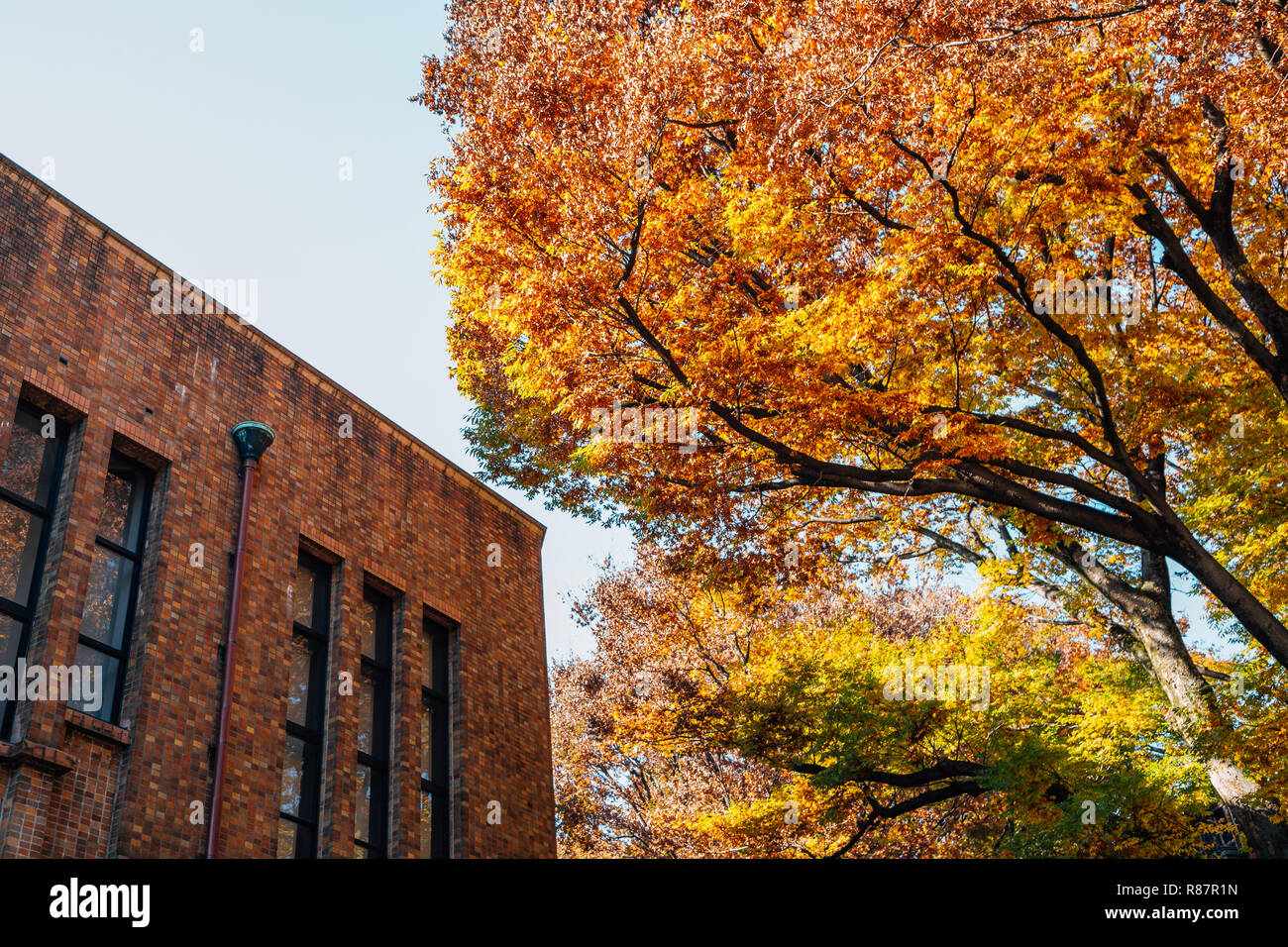 Japan university exterior hi-res stock photography and images - Alamy