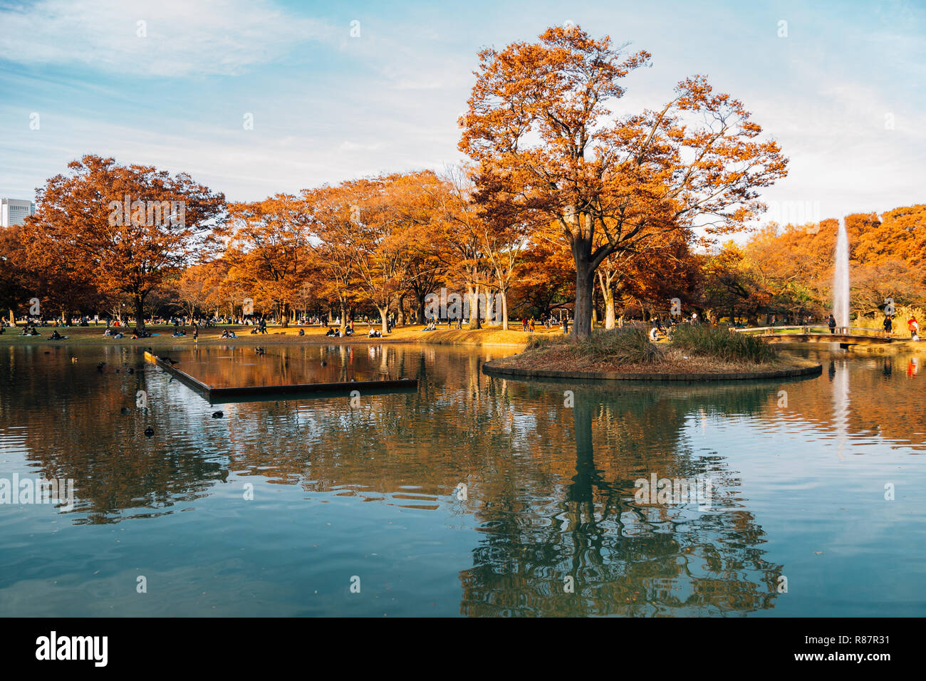 Autumn maple trees and lake at Yoyogi park in Tokyo, Japan Stock Photo ...