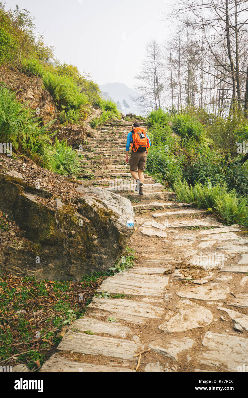Rear view of backpacker walking Stock Photo - Alamy