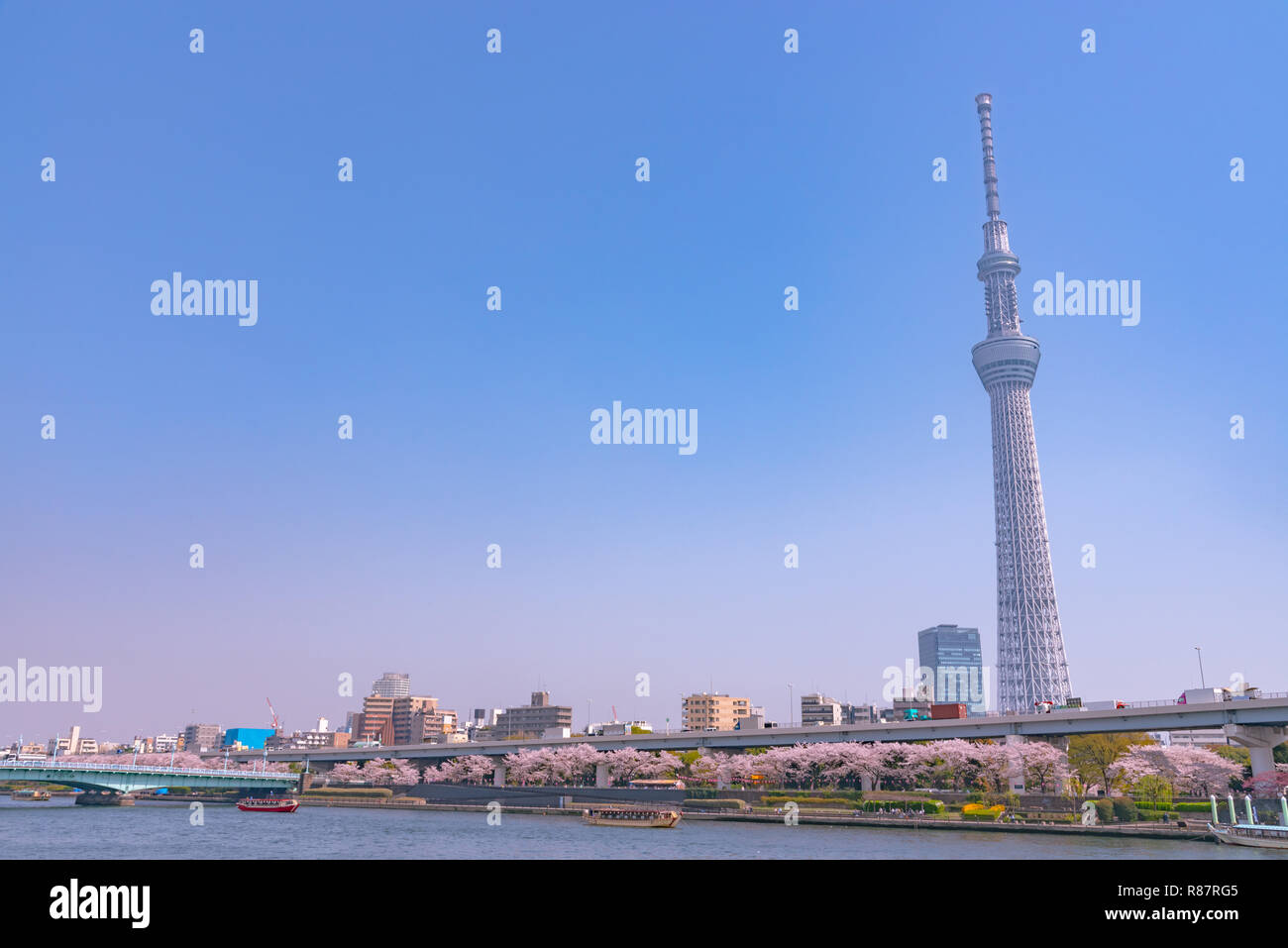 Tokyo Skytree, the highest tower in Japan Stock Photo - Alamy
