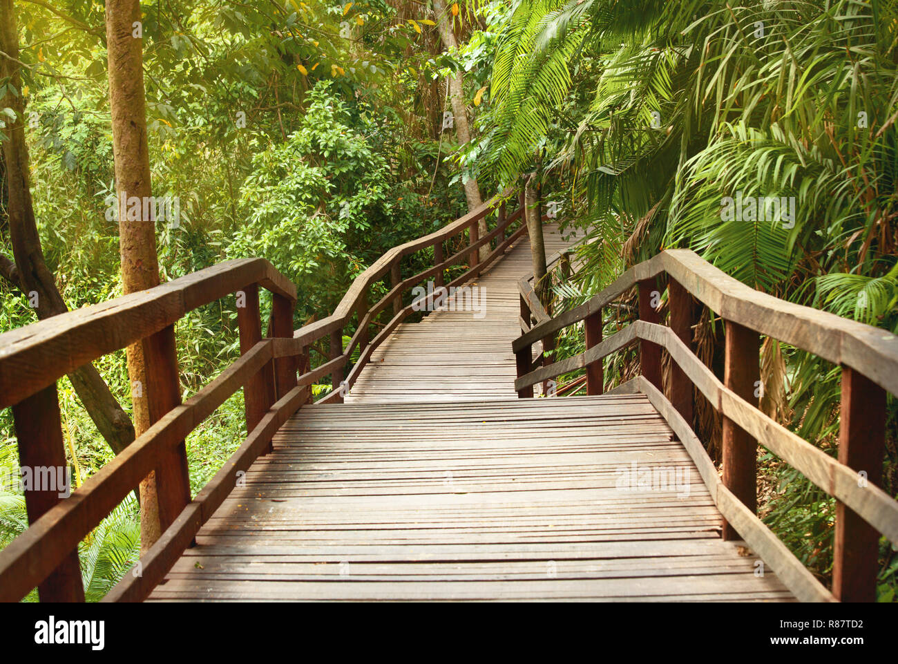empty wooden pathway bridge with rails in tropical park Stock Photo - Alamy
