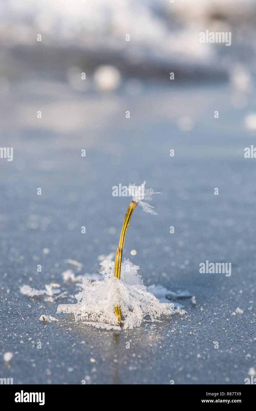 Insurmountable hi-res stock photography and images - Alamy