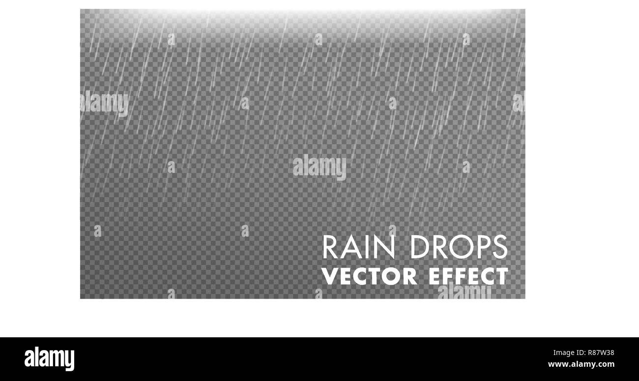 Vector effect - Rain drops on the transparent background Stock Vector ...
