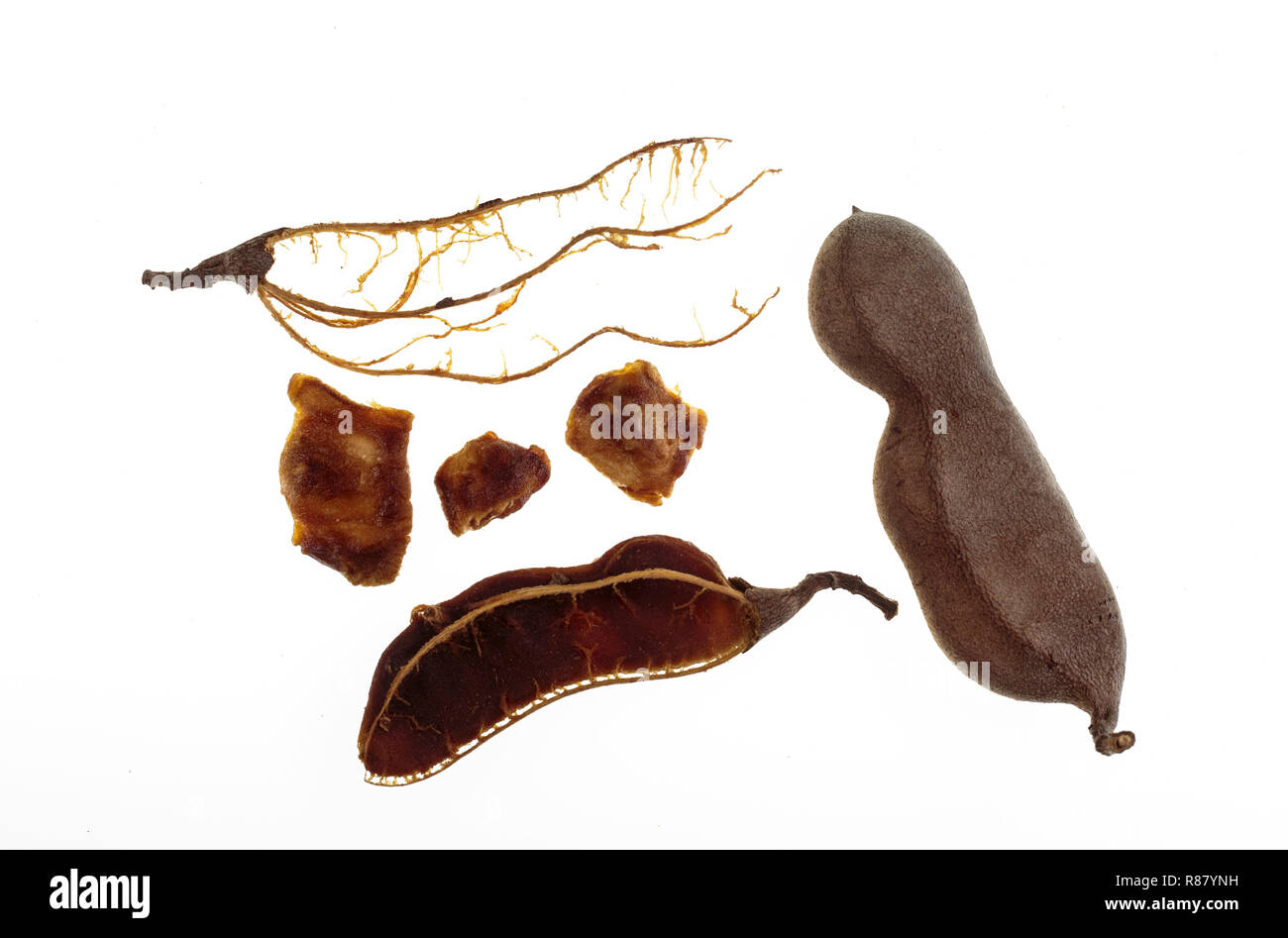 View of a whole tamarind fruit and the pulp, seeds and fibers of a ...