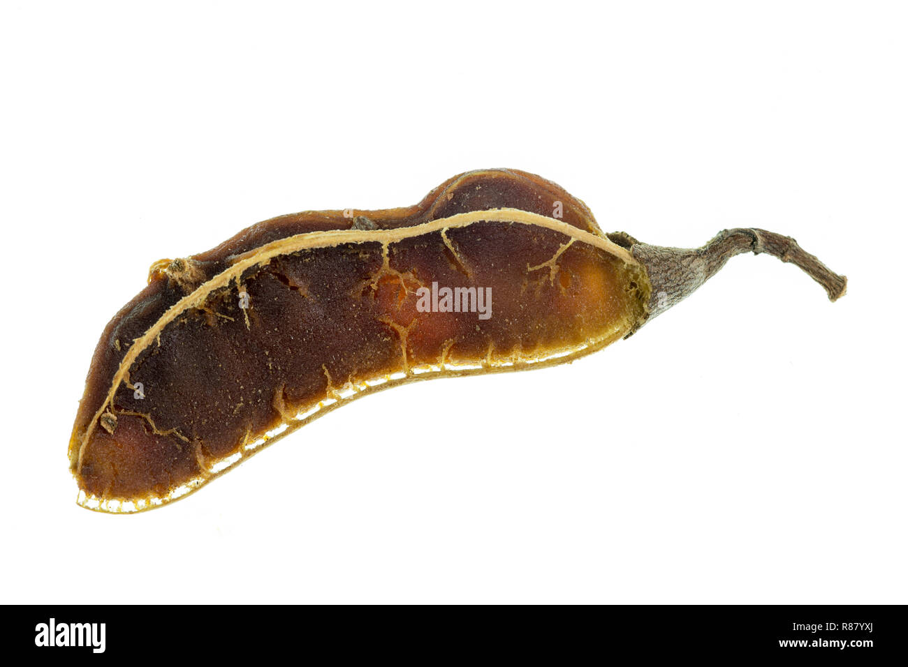 Fibers that involve the pulp of a tamarind fruit inside the shell or ...