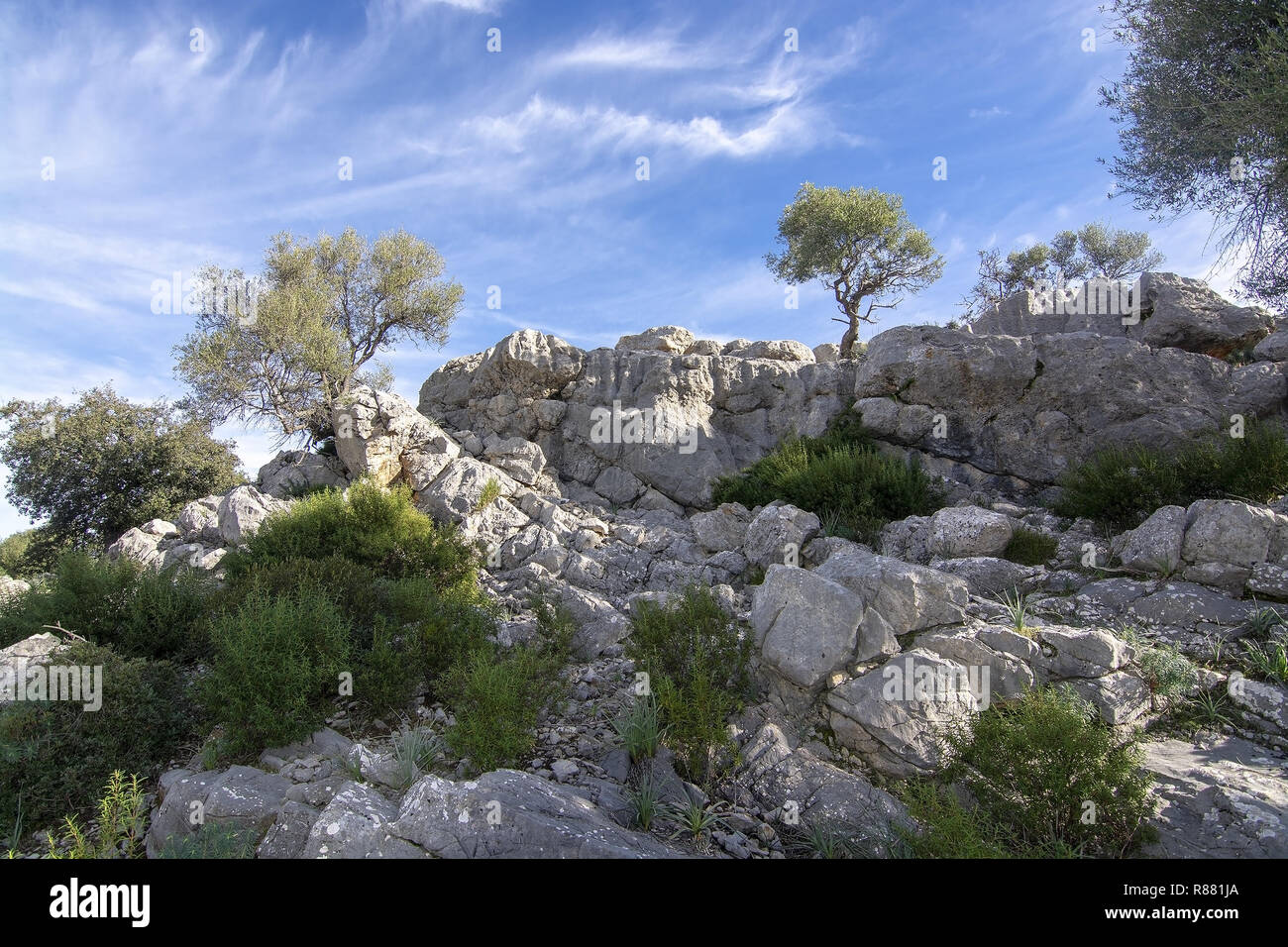 Unusual looking rocks hi-res stock photography and images - Alamy