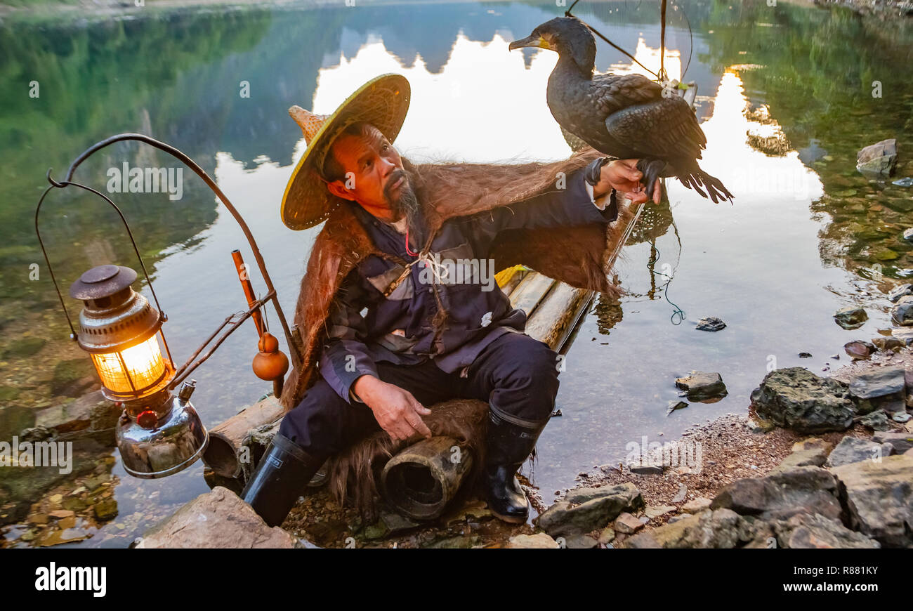 Chinese cormorant fisherman holding cormorant bird on arm on raft in ...