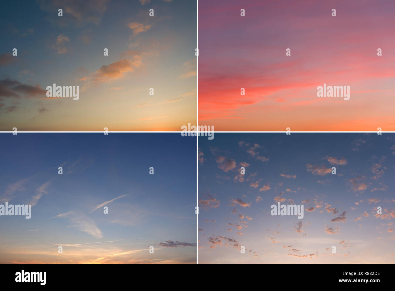 The four tones hi-res stock photography and images - Alamy