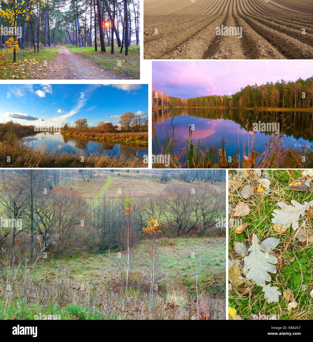 Collage of beautiful autumn images, landscape Stock Photo - Alamy