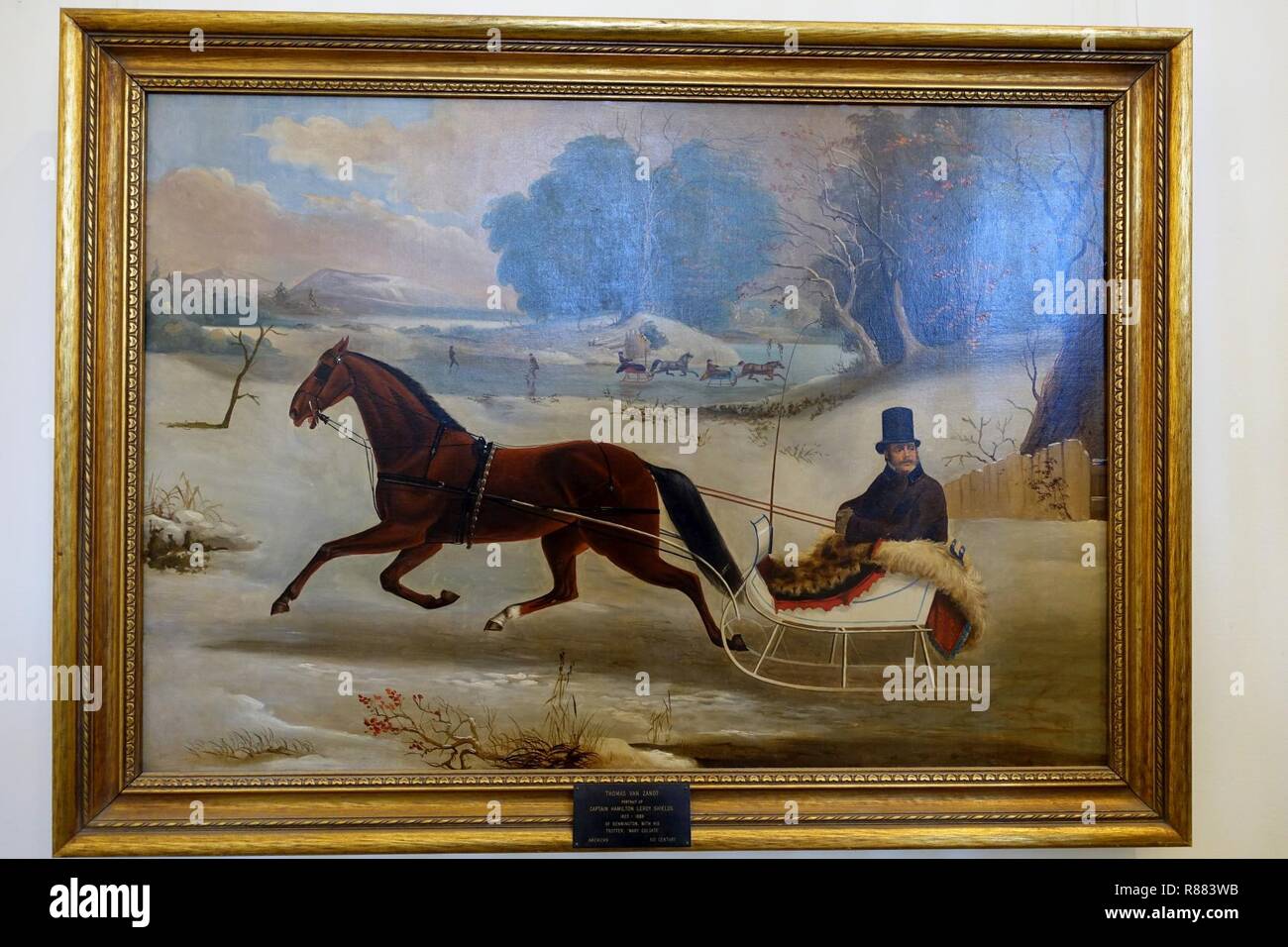 Captain Hamilton Leroy Shields of Bennington, with his trotter Mary ...