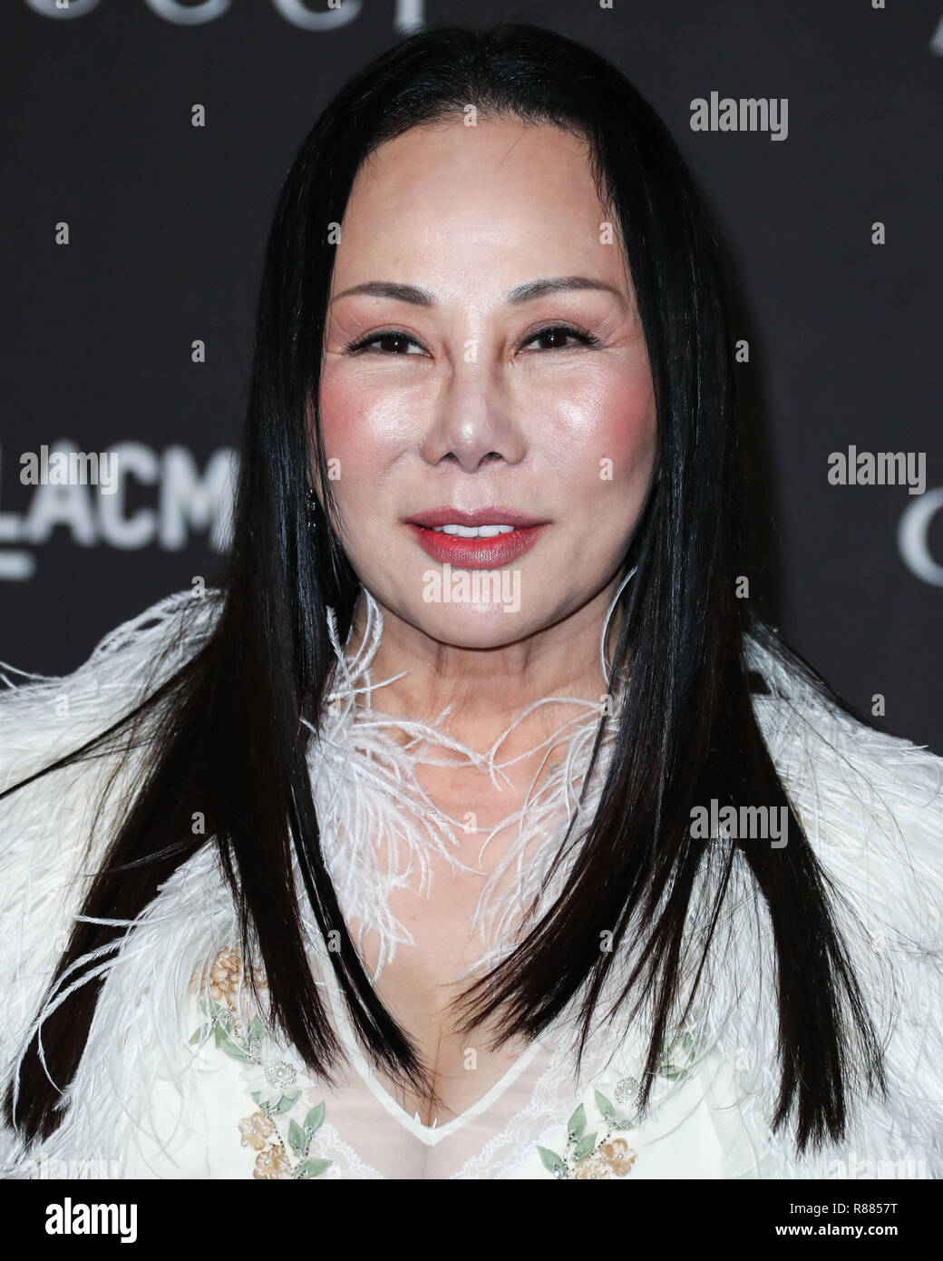 LOS ANGELES, CA, USA - NOVEMBER 03: Eva Chow at the 2018 LACMA Art ...