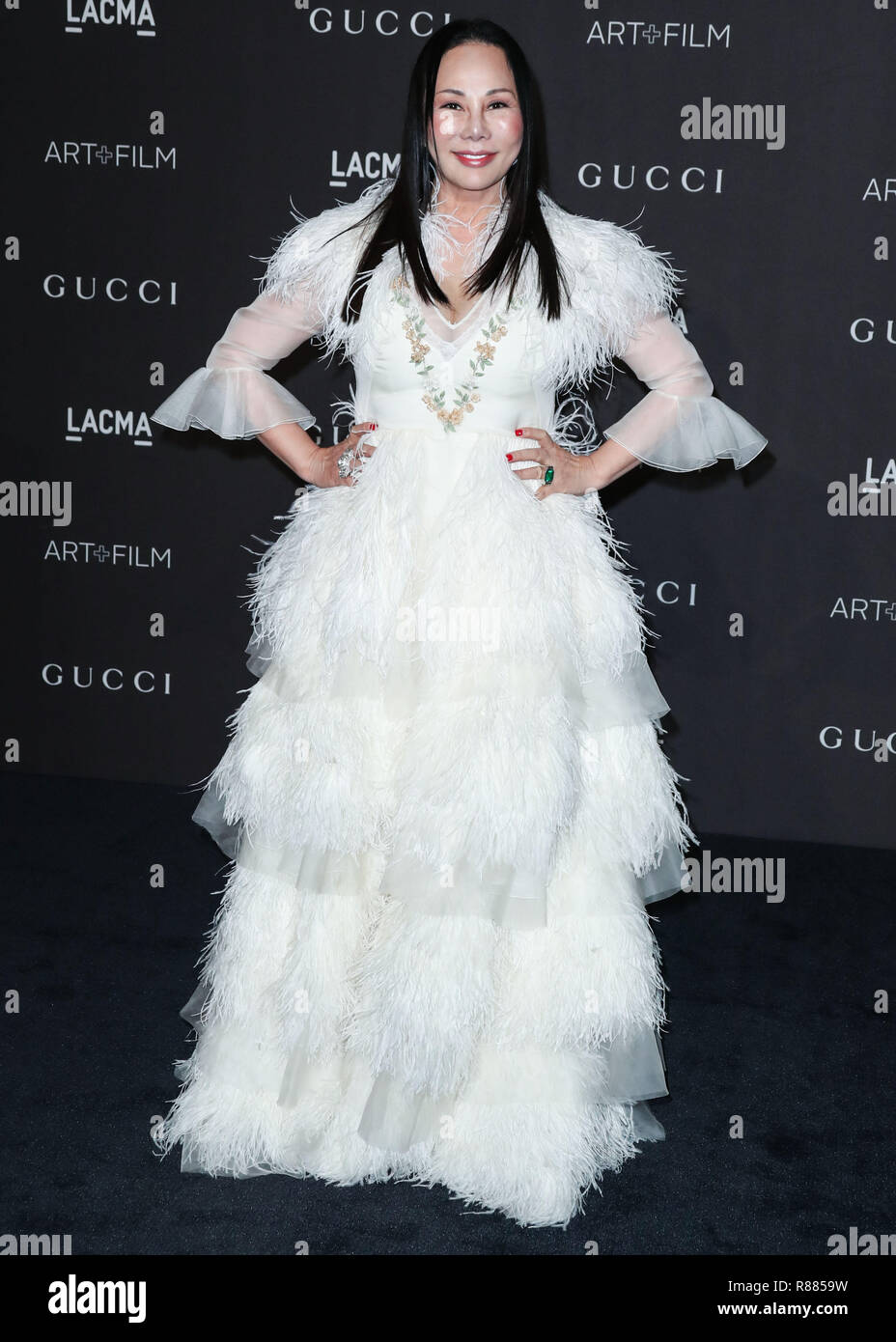 LOS ANGELES, CA, USA - NOVEMBER 03: Eva Chow at the 2018 LACMA Art ...