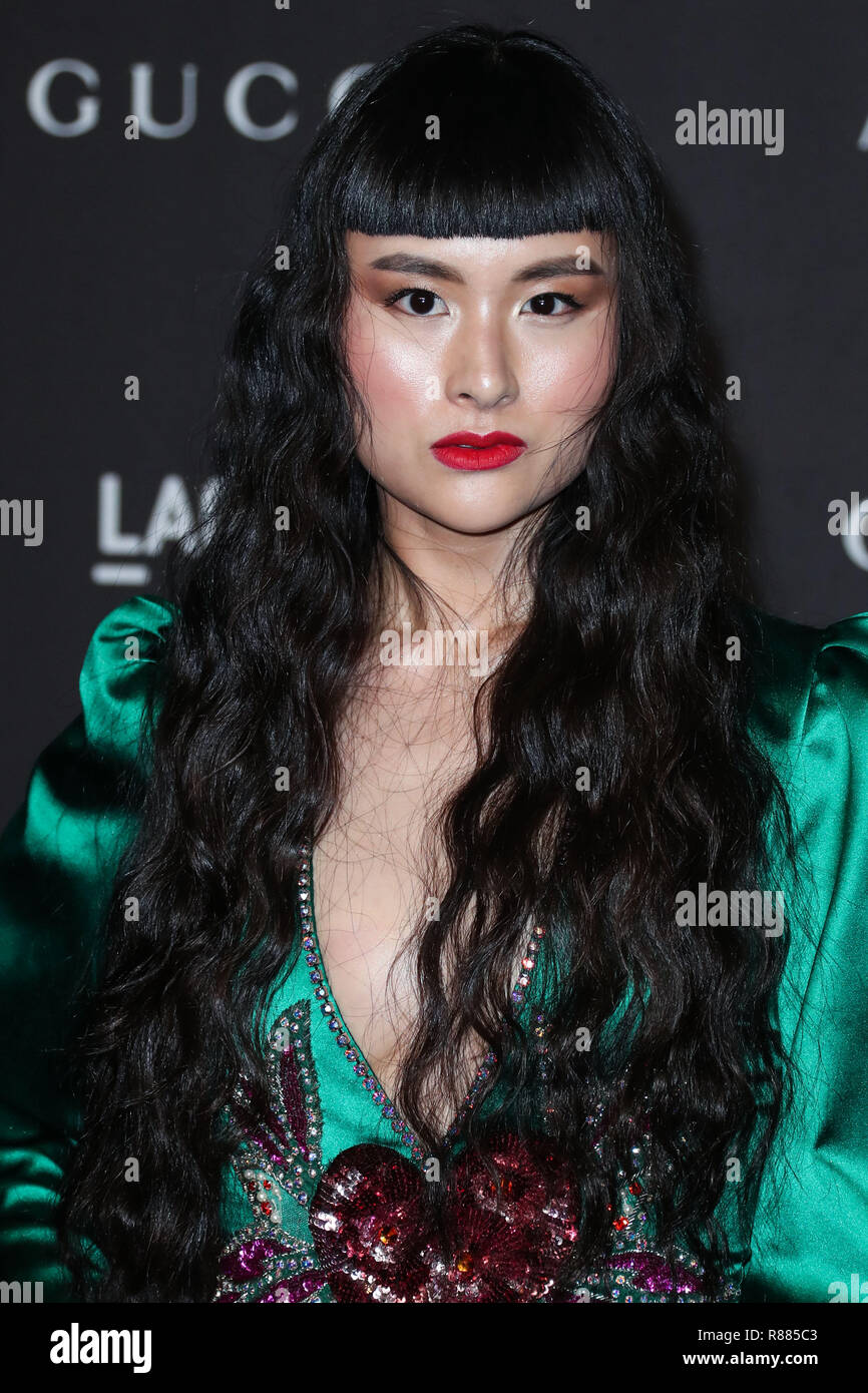 LOS ANGELES, CA, USA - NOVEMBER 03: Asia Chow at the 2018 LACMA Art ...