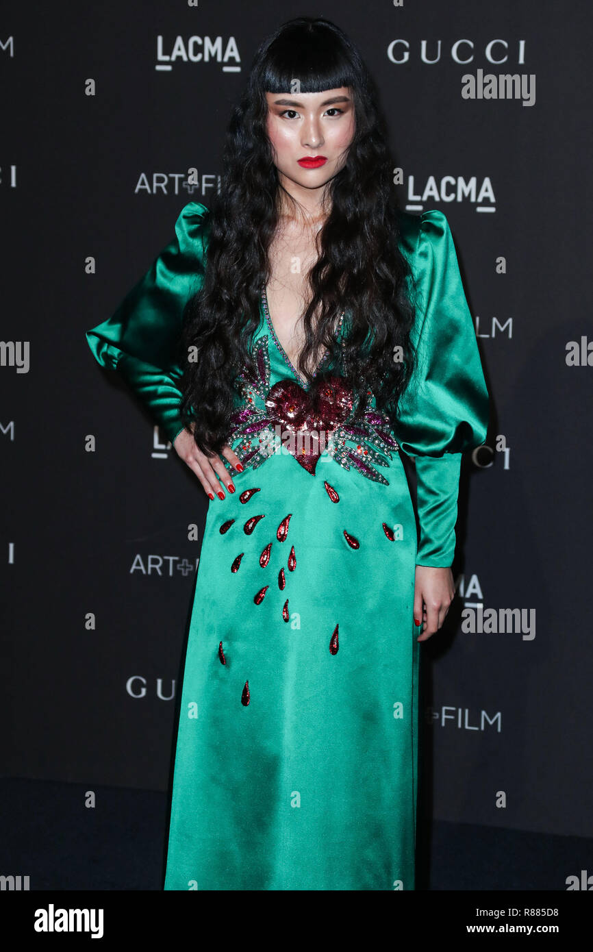 LOS ANGELES, CA, USA - NOVEMBER 03: Asia Chow at the 2018 LACMA Art ...