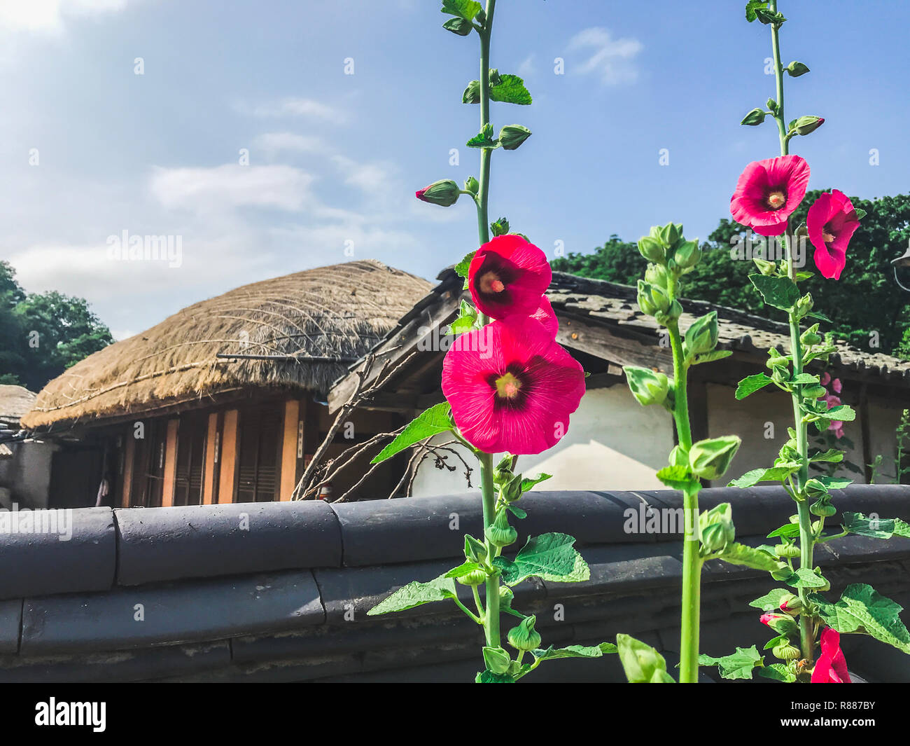 Traditional Korean Flowers Bojagi Traditional Korean Flower