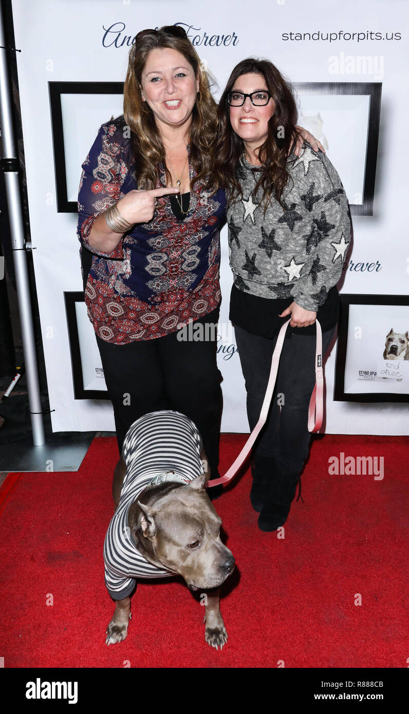 LOS ANGELES, CA, USA - NOVEMBER 11: Camryn Manheim, Rebecca Corry at ...