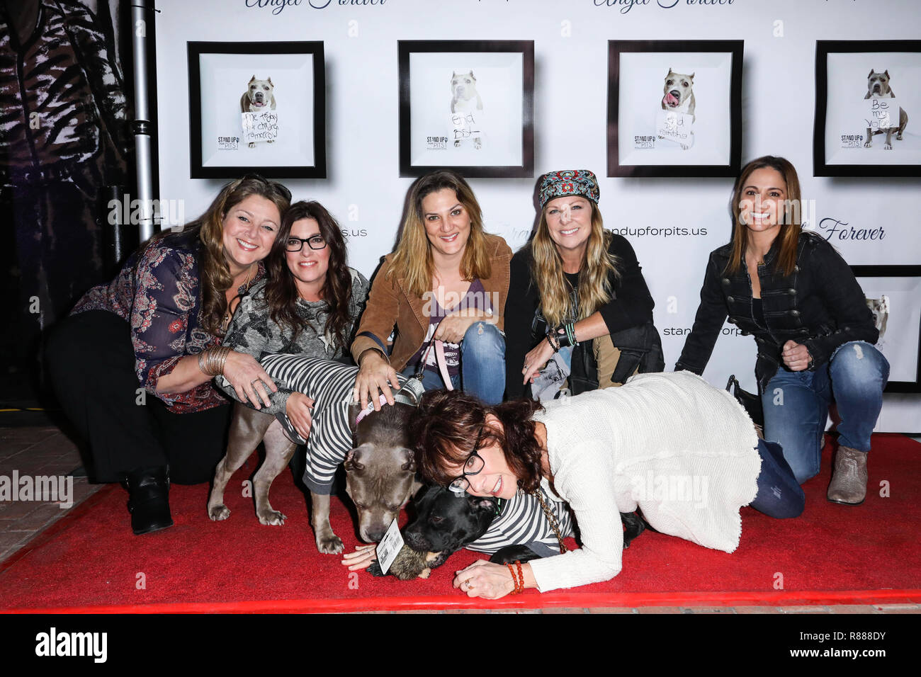 LOS ANGELES, CA, USA - NOVEMBER 11: Camryn Manheim, Rebecca Corry, Mo ...