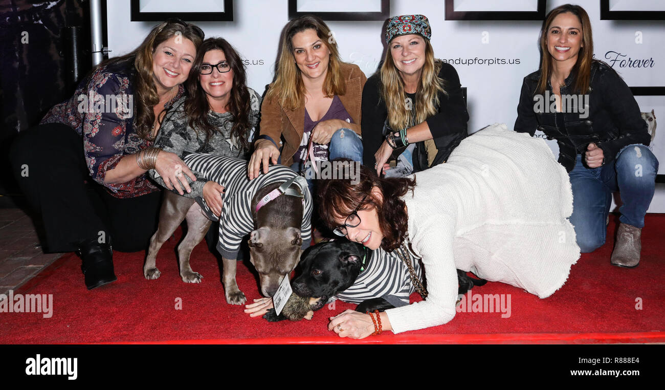 LOS ANGELES, CA, USA - NOVEMBER 11: Camryn Manheim, Rebecca Corry, Mo ...