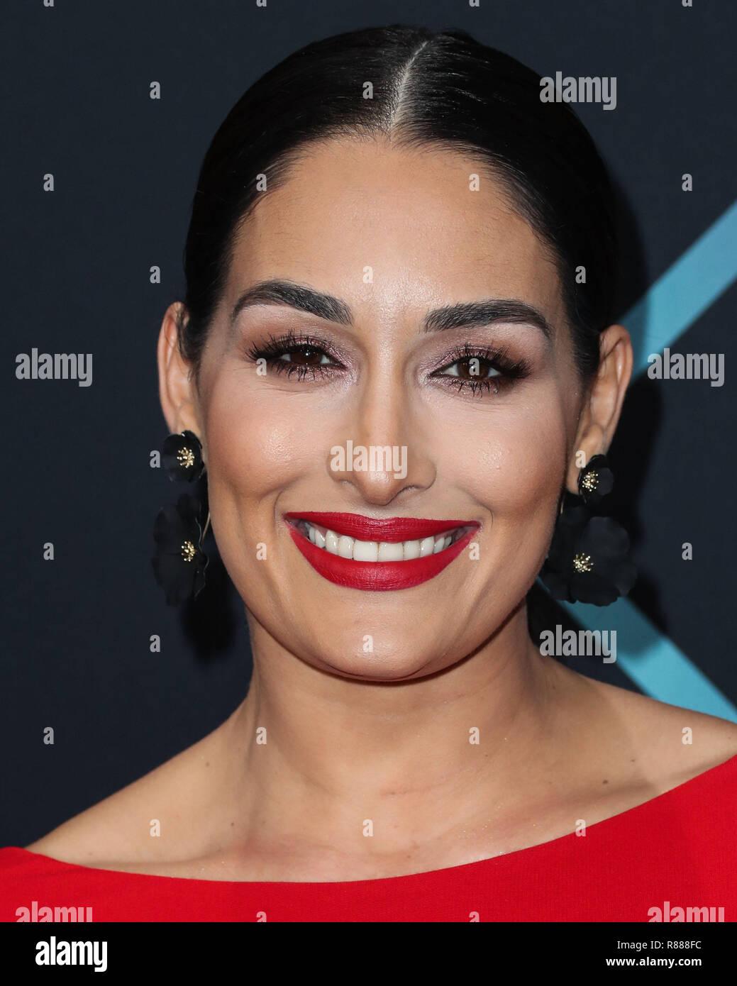 SANTA MONICA, LOS ANGELES, CA, USA - NOVEMBER 11: Nikki Bella wearing a ...