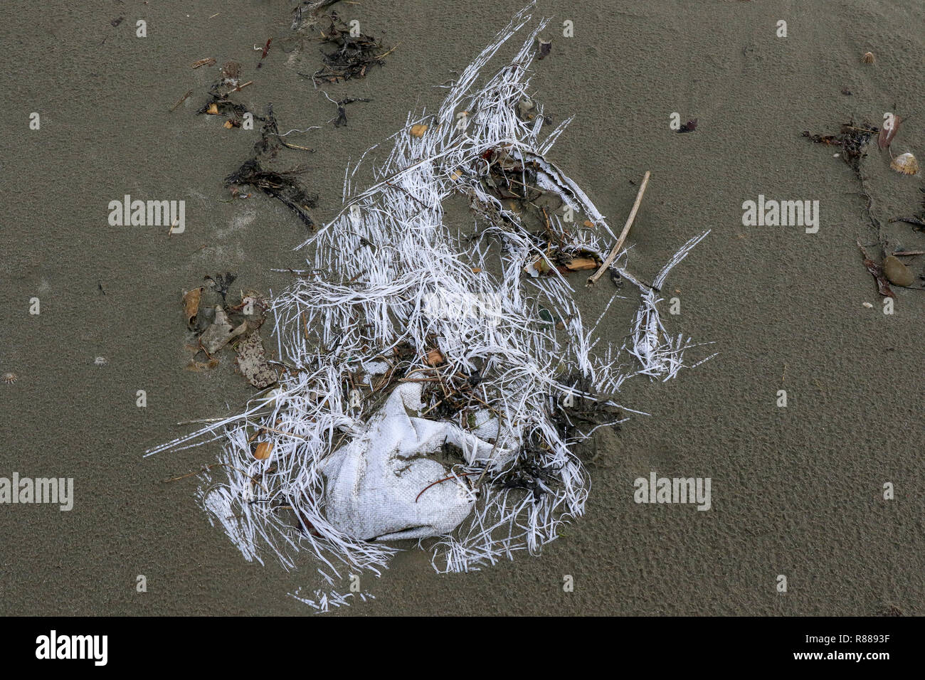 Seashore pollution United Kingdom and Ireland Stock Photo - Alamy