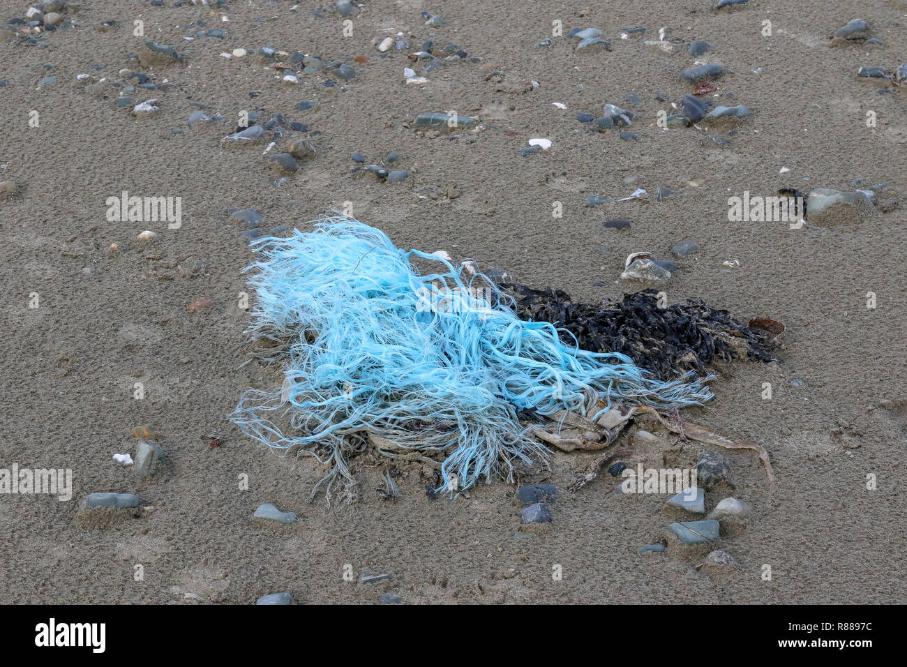 Seashore pollution hi-res stock photography and images - Alamy