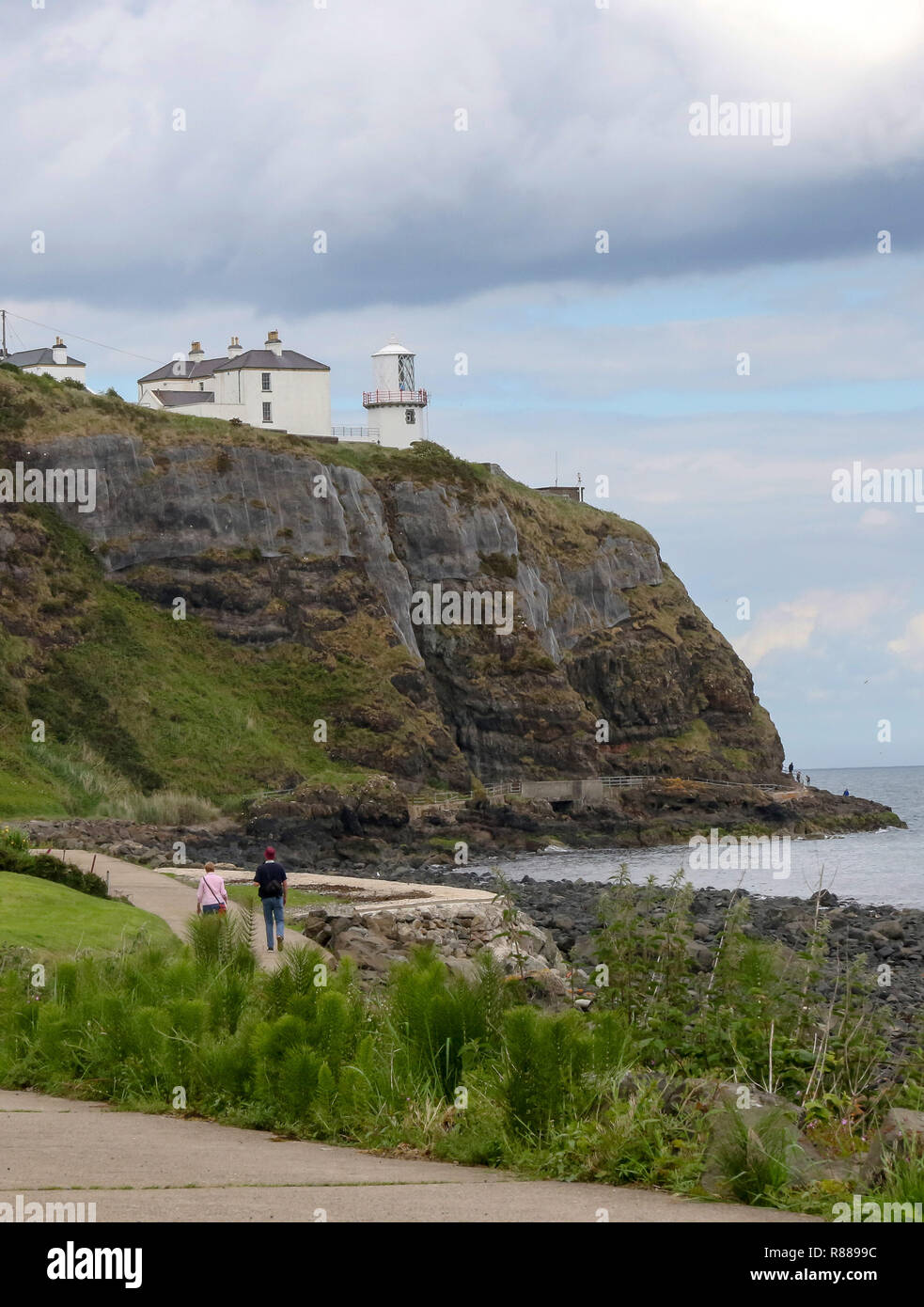 Belfast lough coast path hi-res stock photography and images - Alamy
