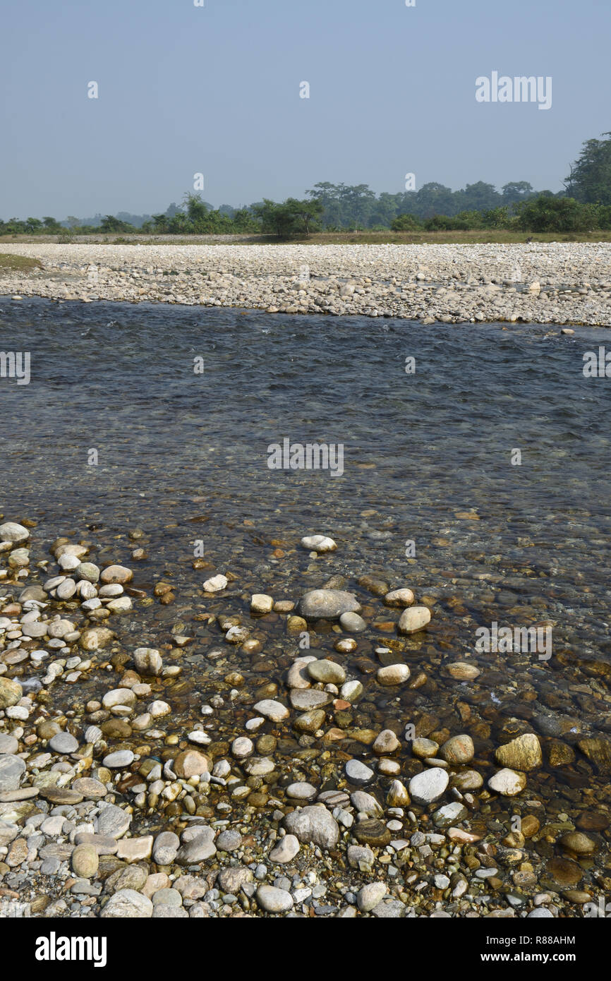 The gorumara national park hi-res stock photography and images - Alamy