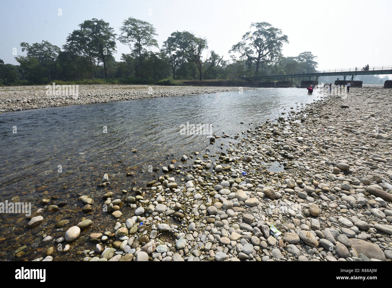 River Murti in Gorumara National Park at Jalpaiguri district of West ...