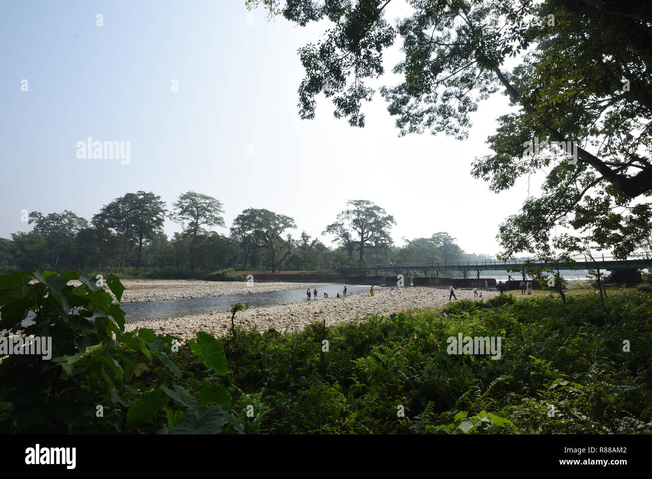 River Murti in Gorumara National Park at Jalpaiguri district of West ...