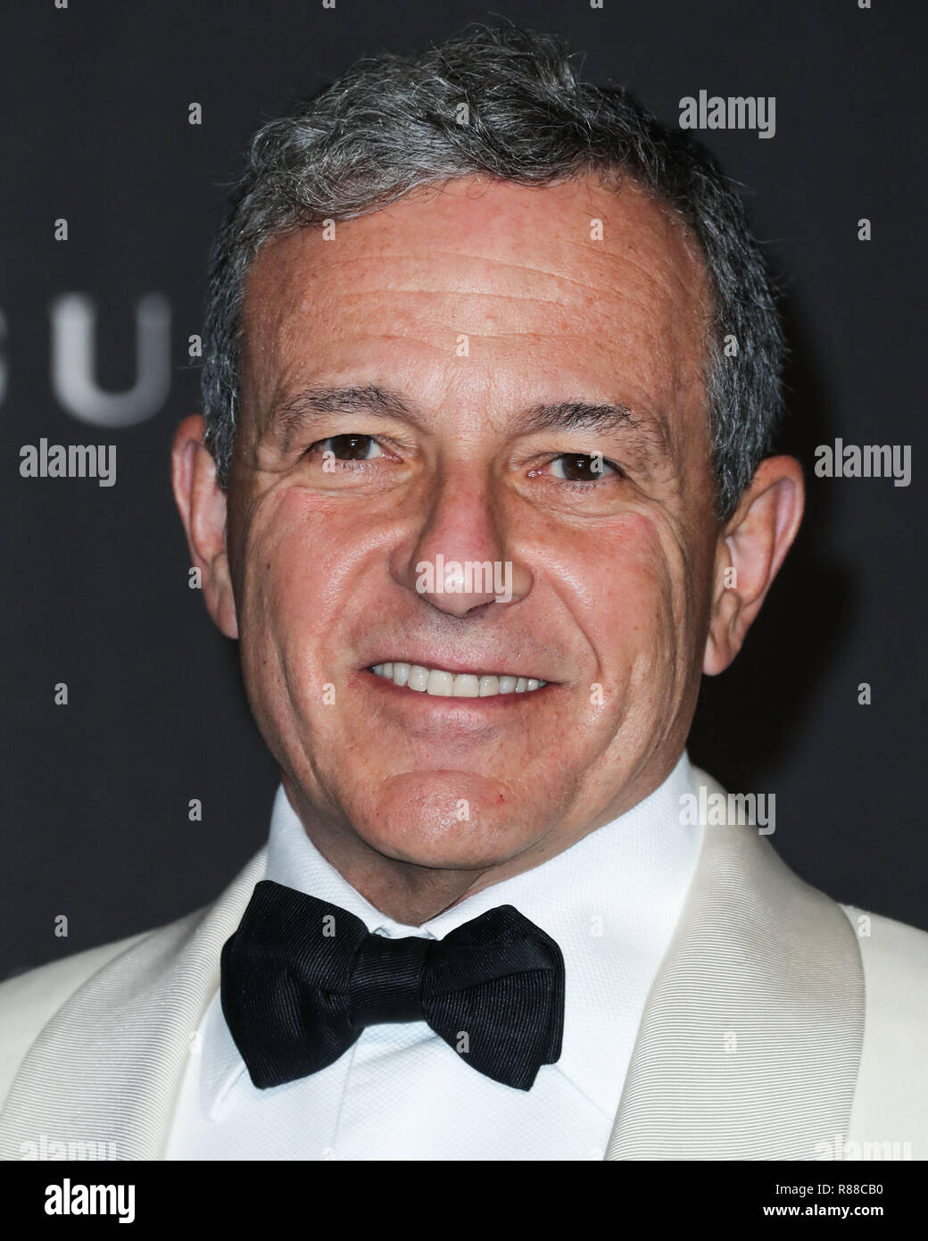 LOS ANGELES, CA, USA - NOVEMBER 03: Bob Iger at the 2018 LACMA Art ...