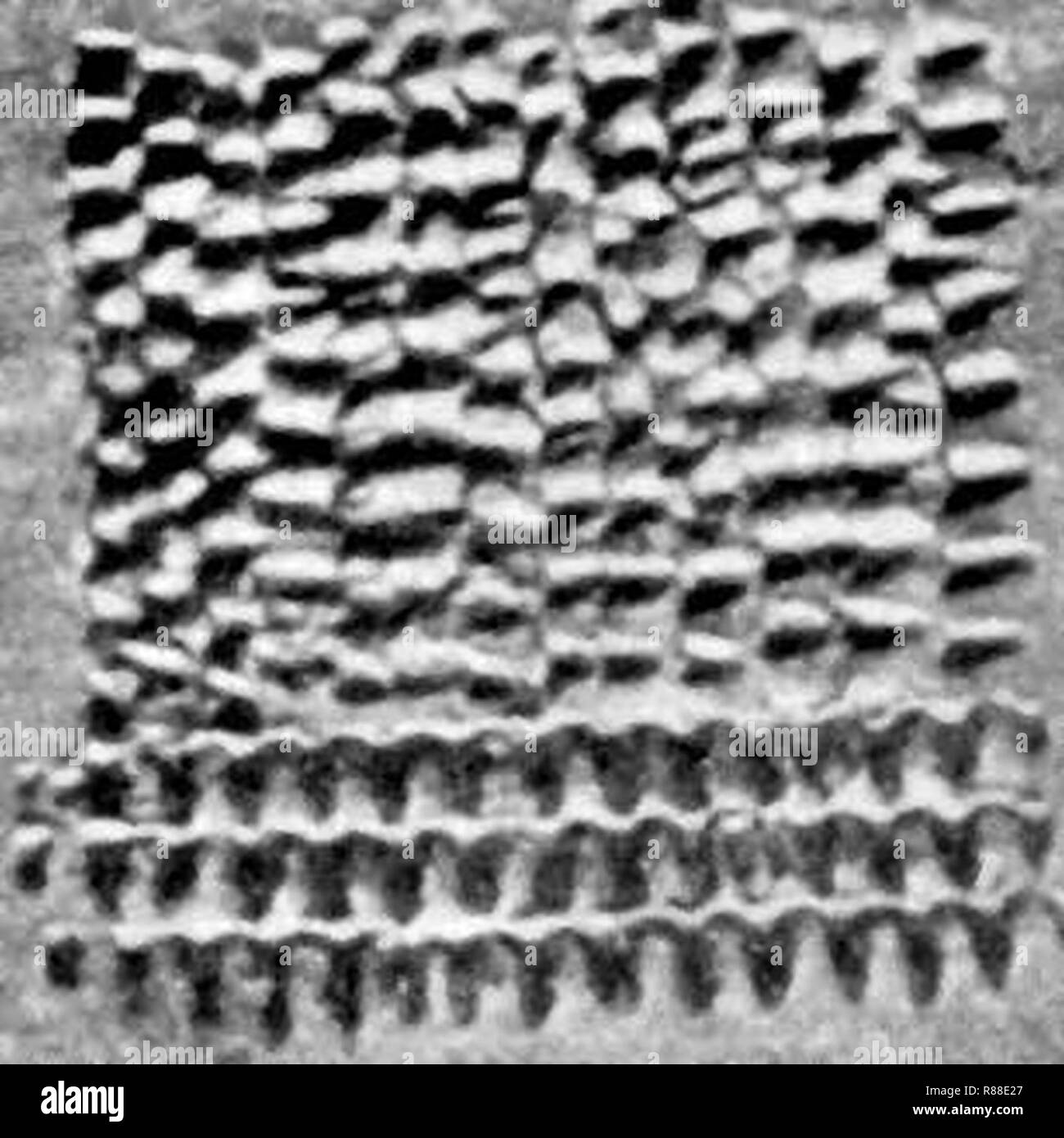 Cardial hi-res stock photography and images - Alamy