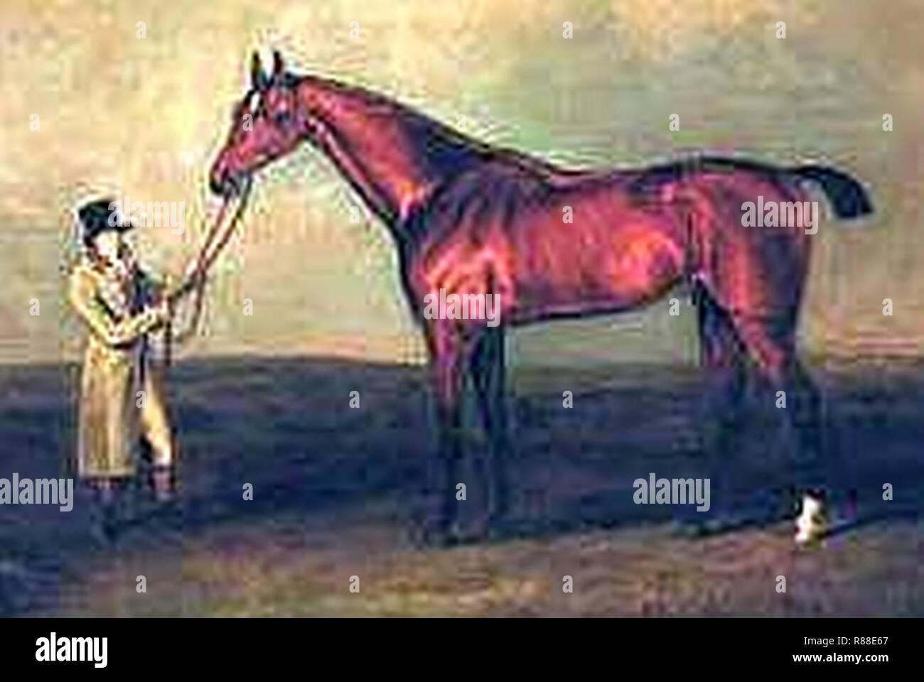 Cardinal beaufort hi-res stock photography and images - Alamy