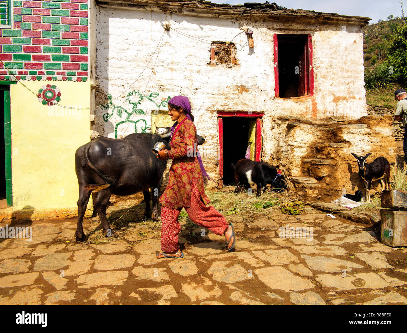Panar maneater hi-res stock photography and images - Alamy