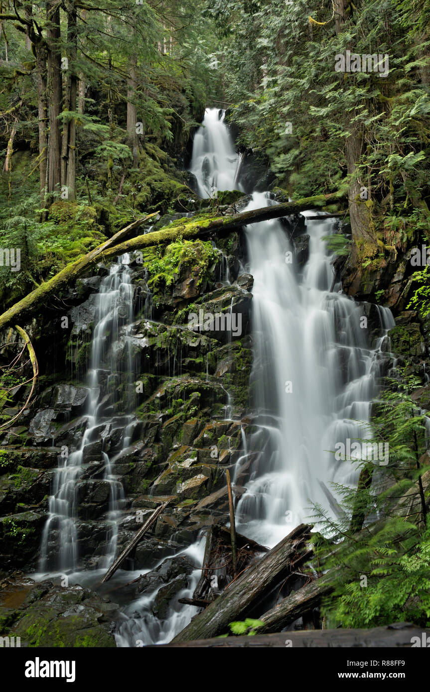 WA15522-00...WASHINGTON - Ranger Falls located along the Green Lake ...