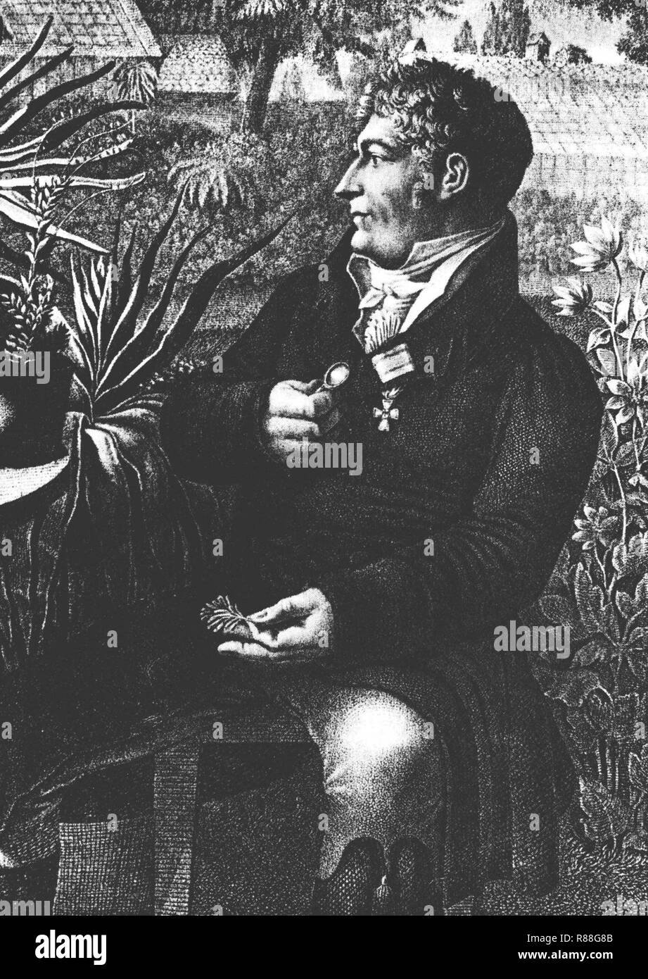 Willdenow carl ludwig hi-res stock photography and images - Alamy