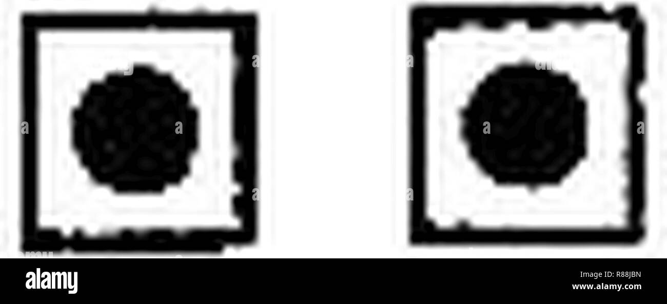 Carli Black and White Stock Photos & Images - Alamy