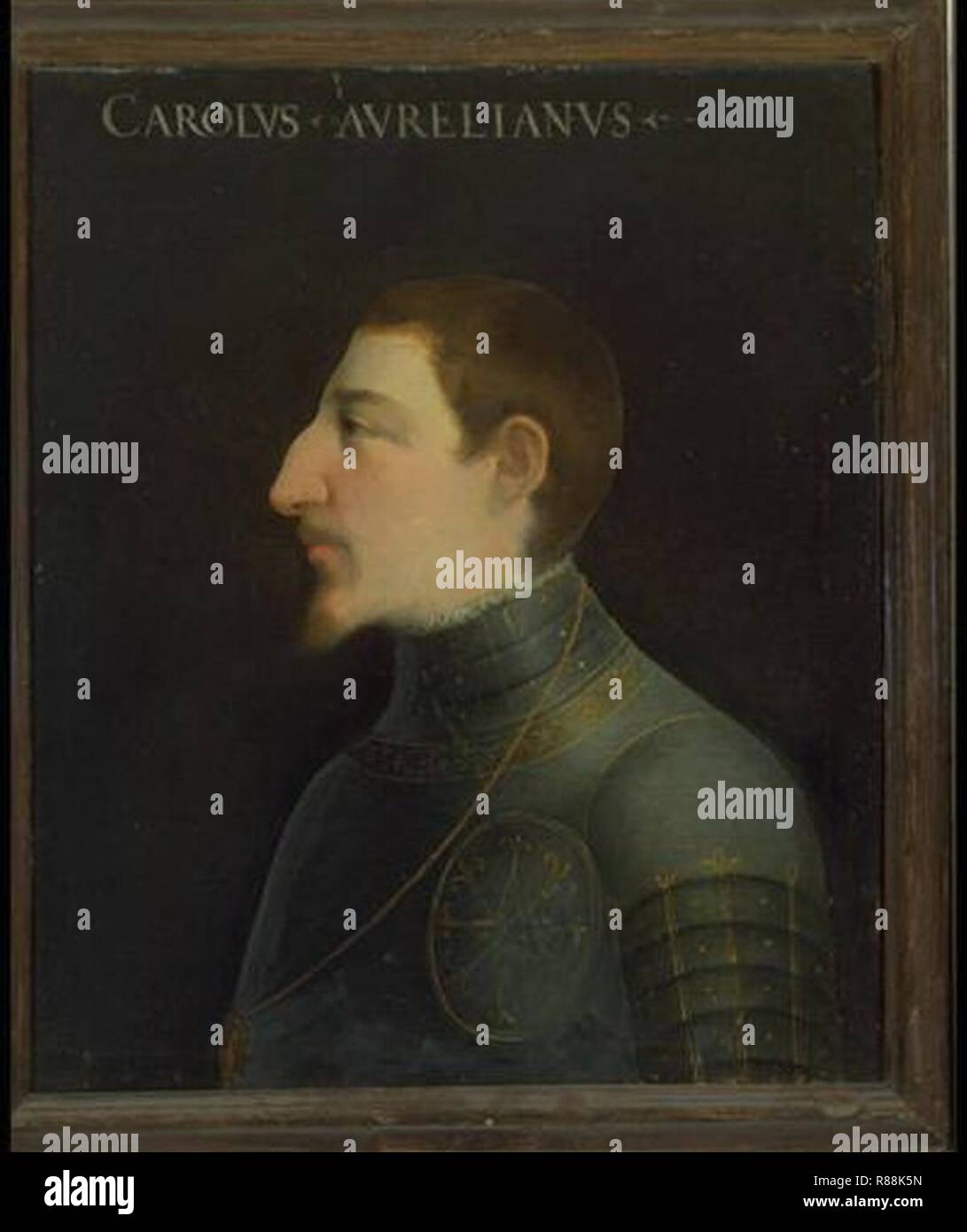 Carlo d'Orleans (Giovio Series Stock Photo - Alamy