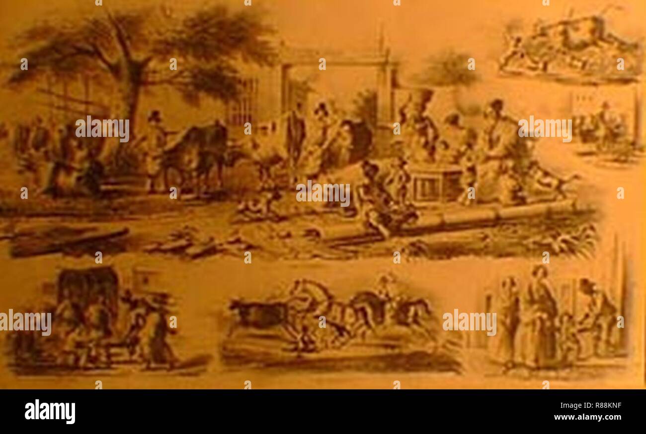 Carlos Morel - El tambo El lazo Stock Photo - Alamy