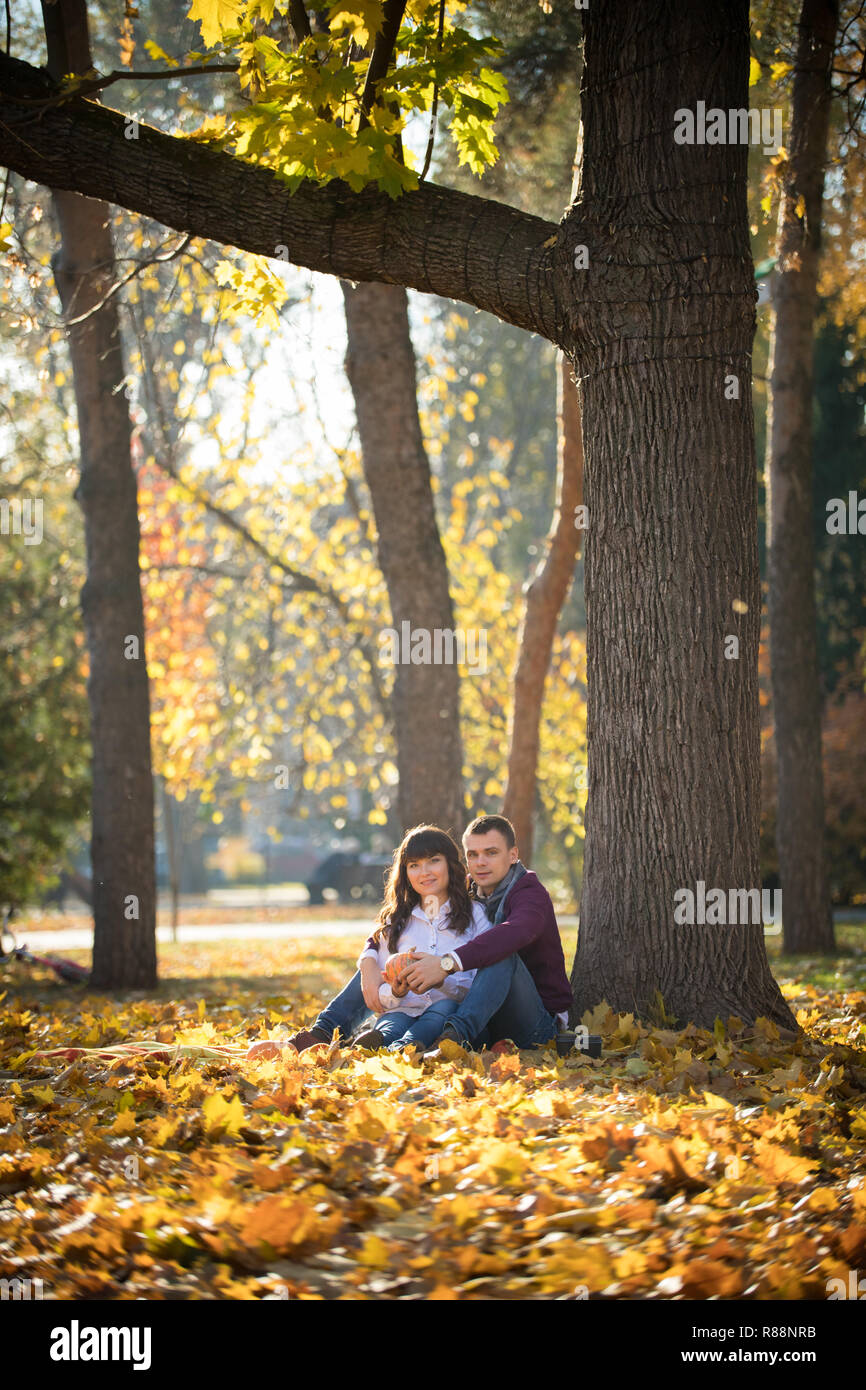 Sitting under a big tree hi-res stock photography and images - Alamy