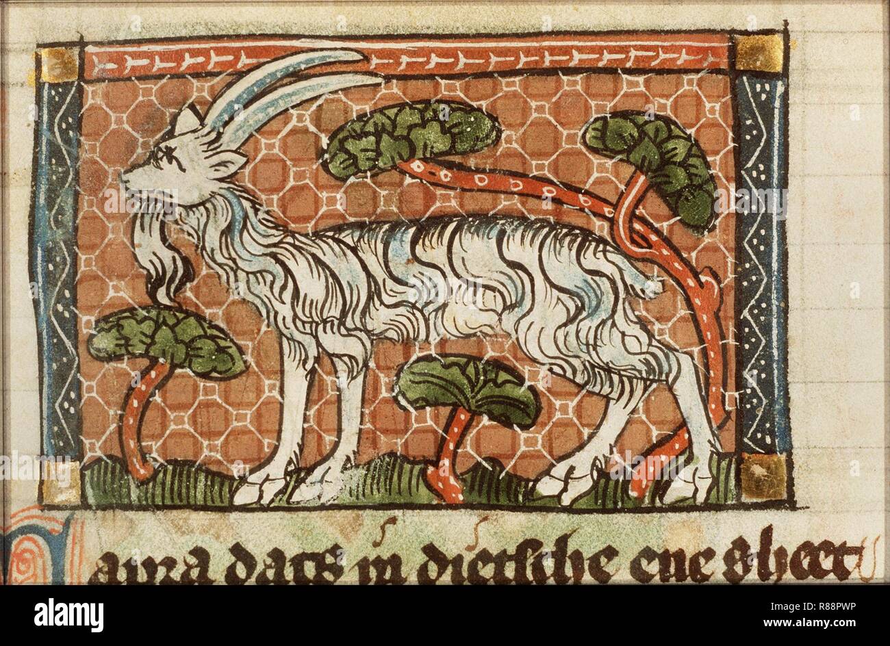 Capra (goat) - Der naturen bloeme - Jacob van Maerlant - KB KA 16 ...