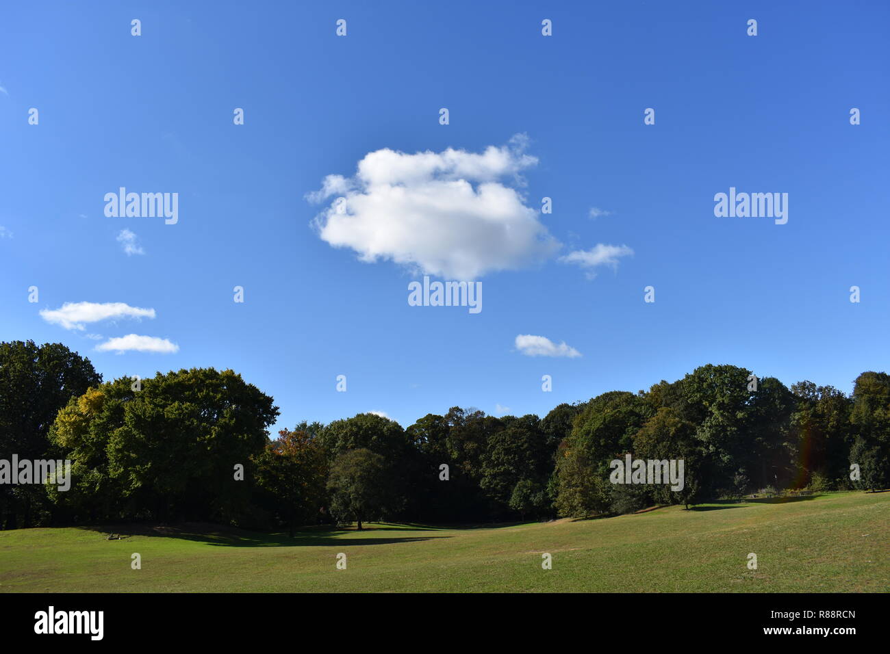 Green trees white puffy hi-res stock photography and images - Alamy